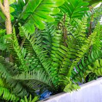 China Green Artificial Potted Floor Plants Indoor Kitchen Landscape for sale