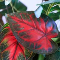 China Touch Silk Artificial Potted Floor Plants For Wedding Decoration for sale