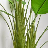 China SGS Artificial Potted Floor Plants Architectural Landscaping Indoor Decoration for sale