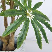 China Round Peacock Leaves Artificial Potted Floor Plants For Bedroom Decoration for sale