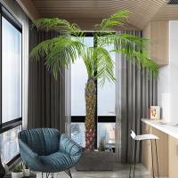 China Dorm Room 3 Meter Artificial Potted Floor Plants Phoenix Palm Tree Plants for sale