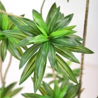 China Artificial special-shaped dracaena Reflexa tree green home deco hotel office potted tree for sale