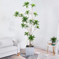 China Artificial special-shaped dracaena Reflexa tree green home deco hotel office potted tree for sale
