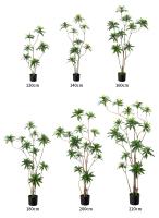 China Artificial special-shaped dracaena Reflexa tree green home deco hotel office potted tree for sale