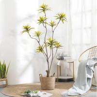 China Artificial special-shaped dracaena Reflexa tree green home deco hotel office potted tree for sale