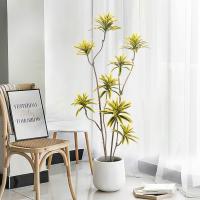 China Artificial special-shaped dracaena Reflexa tree green home deco hotel office potted tree for sale