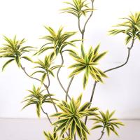 China Artificial special-shaped dracaena Reflexa tree green home deco hotel office potted tree for sale