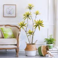 China Artificial special-shaped dracaena Reflexa tree green home deco hotel office potted tree for sale