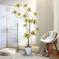 China Artificial special-shaped dracaena Reflexa tree green home deco hotel office potted tree for sale