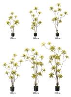 China Artificial special-shaped dracaena Reflexa tree green home deco hotel office potted tree for sale