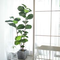 China Bathroom Decorative Artificial Potted Floor Plants Fiddle Leaf Fig for sale