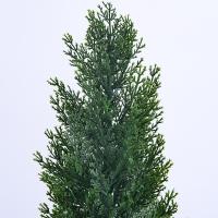China 120-200cm Custom Size Artificial Cypress Evergreen In All Seasons Potted Floor Plants for sale