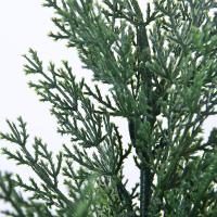 China 120-200cm Custom Size Artificial Cypress Evergreen In All Seasons Potted Floor Plants for sale