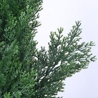 China 120-200cm Custom Size Artificial Cypress Evergreen In All Seasons Potted Floor Plants for sale
