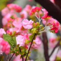 China 250cm Plastic Artificial Cherry Blossom Tree Decoration Plant For Reception Center for sale