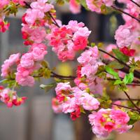China 250cm Plastic Artificial Cherry Blossom Tree Decoration Plant For Reception Center for sale