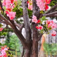 China 250cm Plastic Artificial Cherry Blossom Tree Decoration Plant For Reception Center for sale