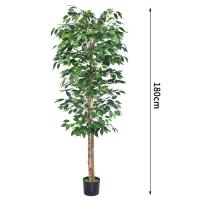 China Flame Retardant H180cm Artificial Ficus Plant , Ficus Fake Tree Natural Look for sale