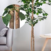 China Flame Retardant H180cm Artificial Ficus Plant , Ficus Fake Tree Natural Look for sale