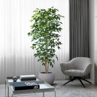 China Flame Retardant H180cm Artificial Ficus Plant , Ficus Fake Tree Natural Look for sale