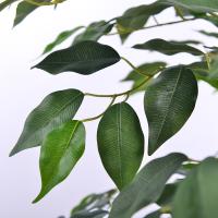 China Flame Retardant H180cm Artificial Ficus Plant , Ficus Fake Tree Natural Look for sale