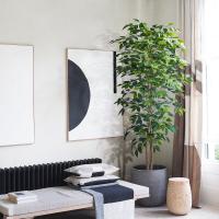 China Flame Retardant H180cm Artificial Ficus Plant , Ficus Fake Tree Natural Look for sale