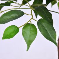China Flame Retardant H180cm Artificial Ficus Plant , Ficus Fake Tree Natural Look for sale