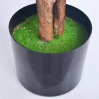 China Flame Retardant H180cm Artificial Ficus Plant , Ficus Fake Tree Natural Look for sale