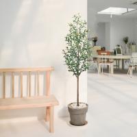 China 150cm Potted Artificial Olive Trees For Wedding Party Banquet for sale
