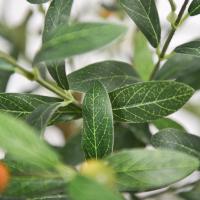 China 150cm Potted Artificial Olive Trees For Wedding Party Banquet for sale