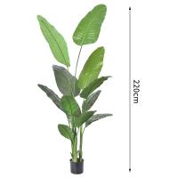 China H160cm Artificial Traveller's Palm Customized Decorated For Store Office Corner Home Decor for sale