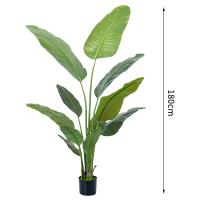 China H160cm Artificial Traveller's Palm Customized Decorated For Store Office Corner Home Decor for sale