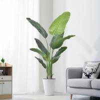 China H160cm Artificial Traveller's Palm Customized Decorated For Store Office Corner Home Decor for sale