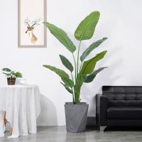 China H160cm Artificial Traveller's Palm Customized Decorated For Store Office Corner Home Decor for sale