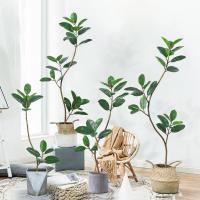 China Artificial Potted Floor Plants Small Ficus Pandurata For Garden Decoration for sale
