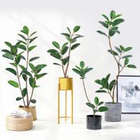 China Artificial Potted Floor Plants Small Ficus Pandurata For Garden Decoration for sale