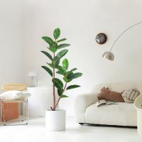 China Artificial Potted Floor Plants Small Ficus Pandurata For Garden Decoration for sale