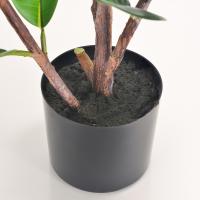 China Artificial Potted Floor Plants Small Ficus Pandurata For Garden Decoration for sale