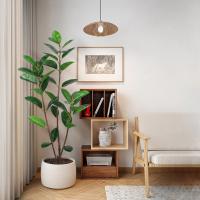 China Artificial Potted Floor Plants Small Ficus Pandurata For Garden Decoration for sale
