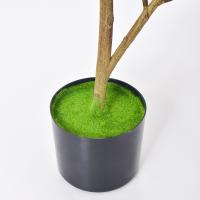 China Artificial Potted Floor Plants Small Ficus Pandurata For Garden Decoration for sale