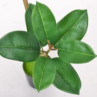 China Artificial Potted Floor Plants Small Ficus Pandurata For Garden Decoration for sale