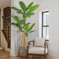 China 1.6m Factory Real Touch High Quality Artificial Banana Tree For Hot Sale for sale