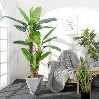 China 1.6m Factory Real Touch High Quality Artificial Banana Tree For Hot Sale for sale