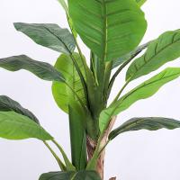China 1.6m Factory Real Touch High Quality Artificial Banana Tree For Hot Sale for sale