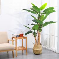 China 1.6m Factory Real Touch High Quality Artificial Banana Tree For Hot Sale for sale