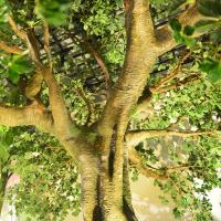 China Height 300cm Artificial Realistic Fake Trees , Realistic Fake Trees All Season for sale