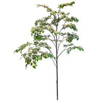 China Custom Corner Artificial Ficus Tree Space Decoration Minimalist Style for sale