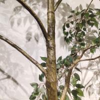 China Custom Corner Artificial Ficus Tree Space Decoration Minimalist Style for sale