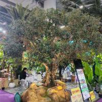 China Factory Priced Large Artificial Olive Tree Huge Ornamental Fiberglass Tree for Indoor Restaurants and Shopping Malls Decor for sale