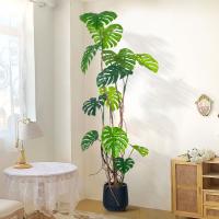 China 160cm/200cm/ 240cm monstera plant artificial Deliciosa with Dense Foliage for sale